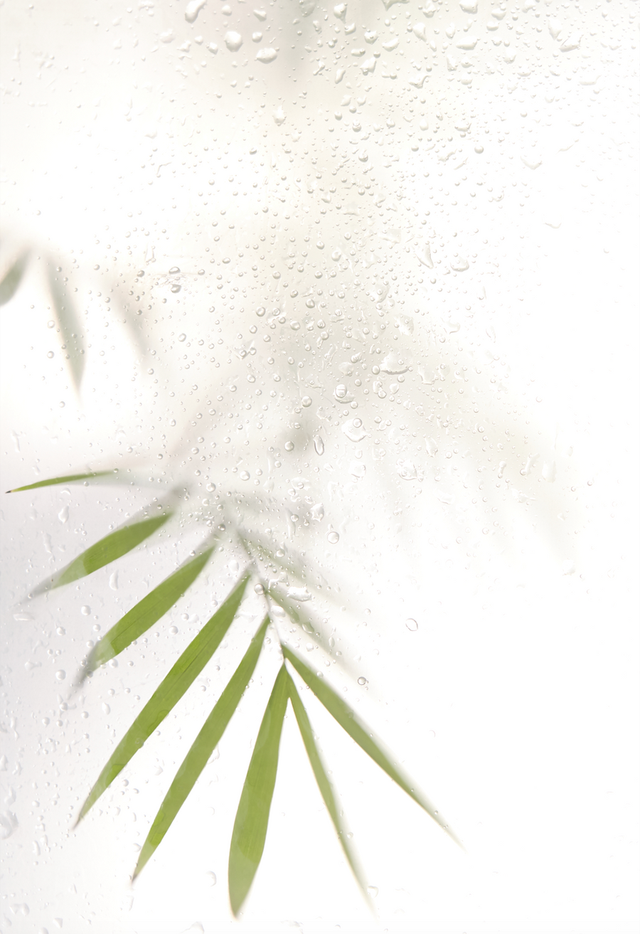 About Us – Selora Store